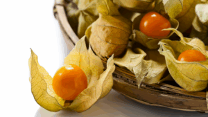 Aprenda a cultivar fisális de forma fácil com estas informações