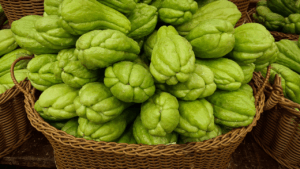 Como plantar chuchu em casa: tudo o que deve saber