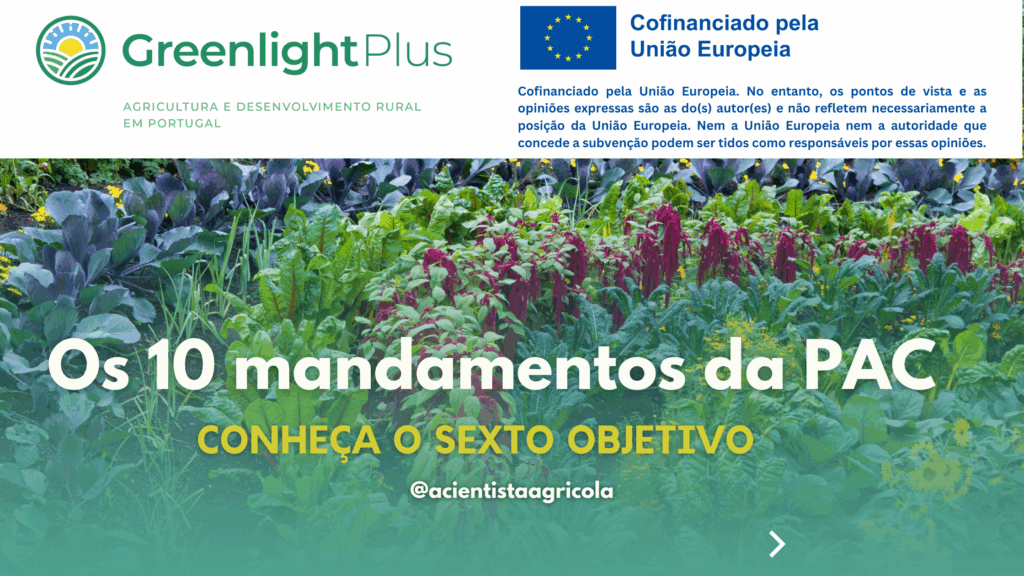 Conheça o sexto mandamento da nova PAC - A Cientista Agricola