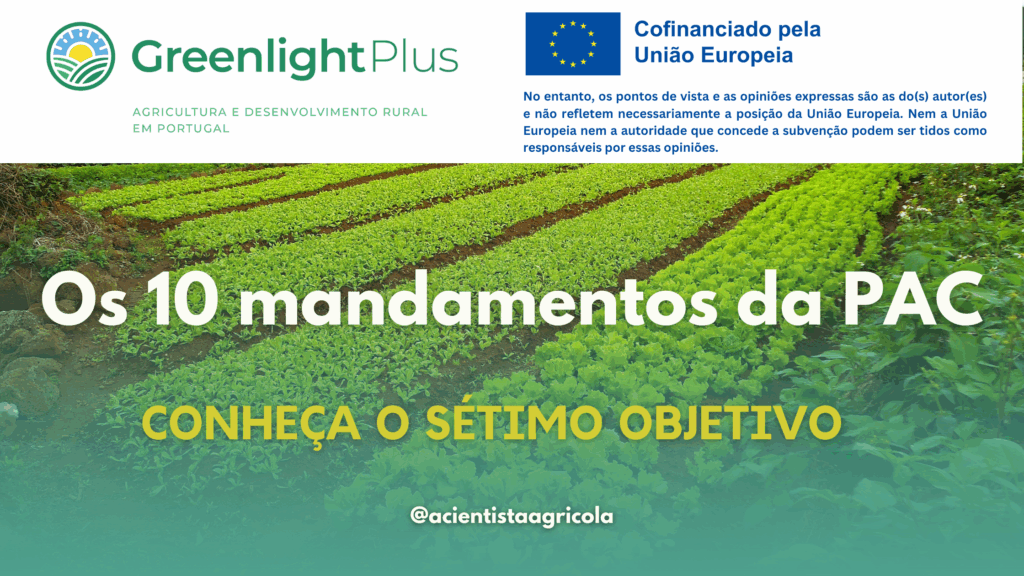 Conheça o sétimo mandamento da nova PAC - A Cientista Agricola