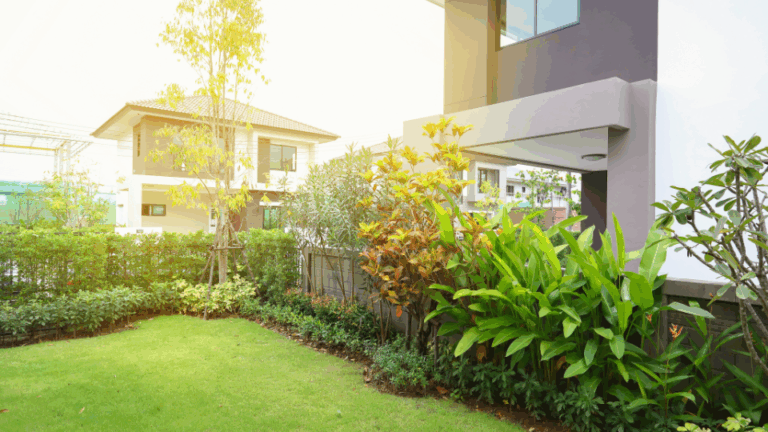 Melhor relva para semear: Conselhos para fazer boas escolhas