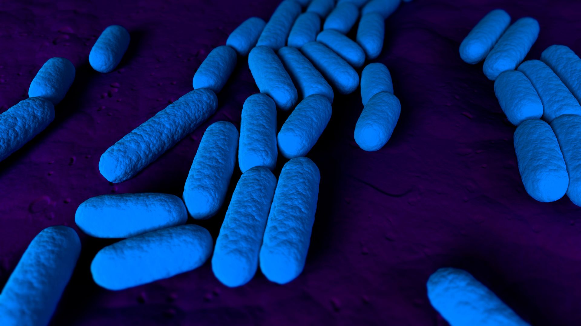 Como usar Bacillus Thuringiensis na agricultura biológica para uma ...