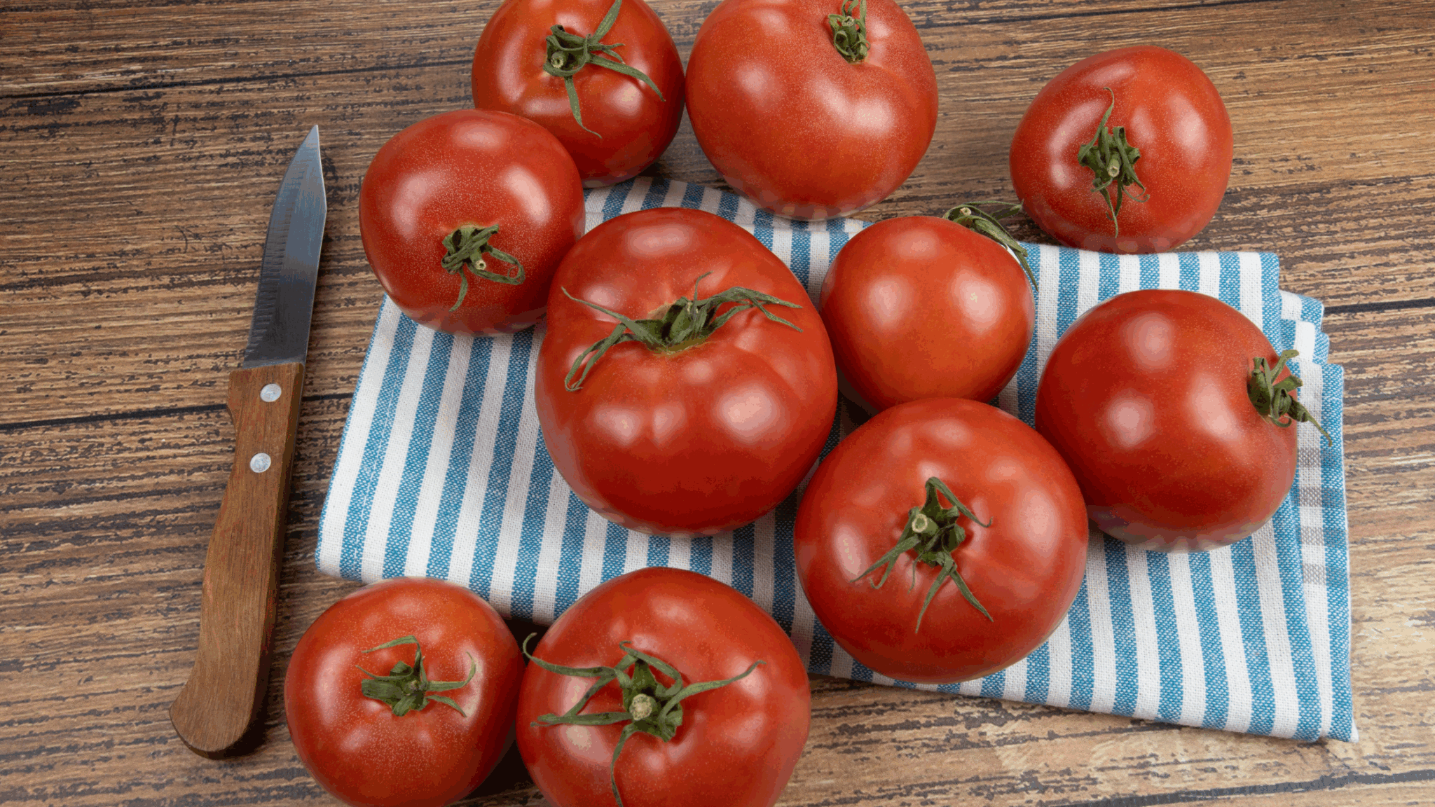 6 variedades de tomate mais cultivados em Portugal