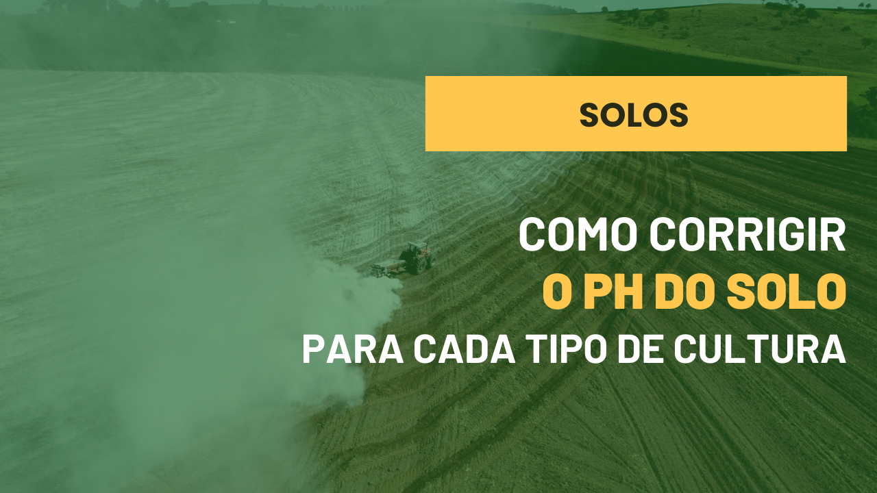 Como Corrigir o pH do Solo para Cada Tipo de Planta - A Cientista Agricola